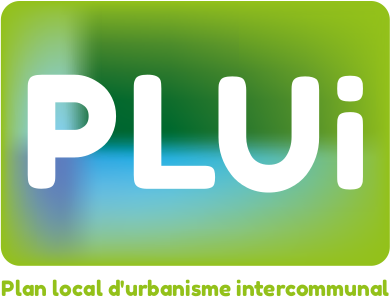 Questionnaire CAWI